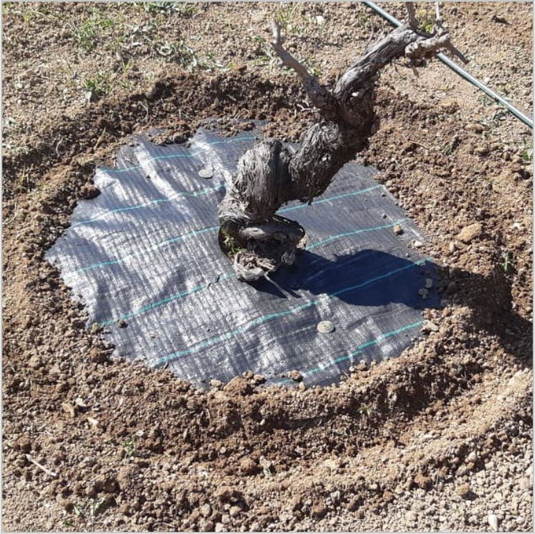 ΥΦΑΣΜΑ ΕΔΑΦΟΚΑΛΥΨΗΣ ΙΔΑΝΙΚΟ ΓΙΑ ΔΕΝΤΡΑ - ΑΜΠΕΛΙΑ - ΦΥΤΑ & ΜΥΡΩΔΙΚΑ