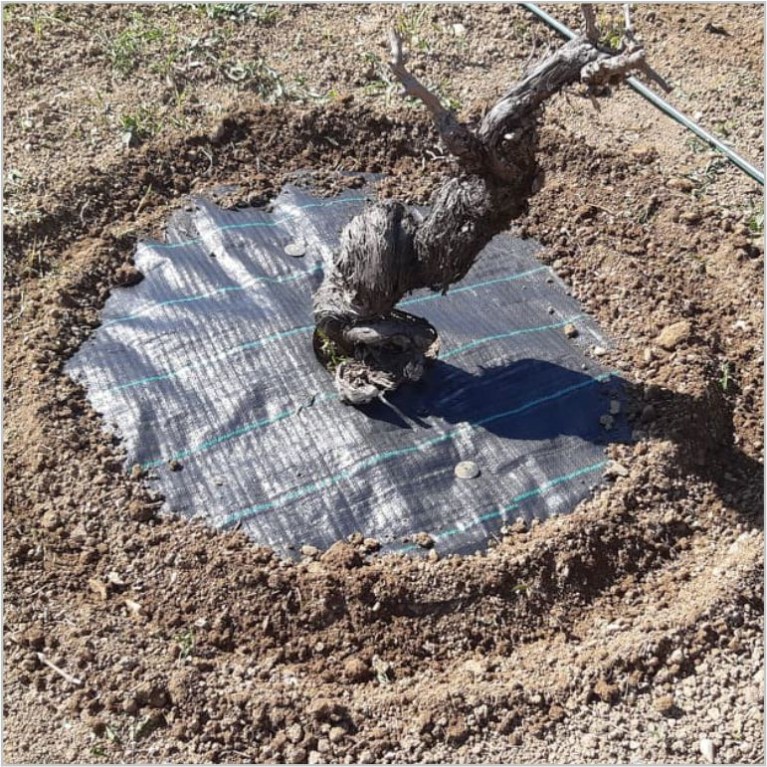 ΥΦΑΣΜΑ ΕΔΑΦΟΚΑΛΥΨΗΣ ΙΔΑΝΙΚΟ ΓΙΑ ΔΕΝΤΡΑ - ΑΜΠΕΛΙΑ - ΦΥΤΑ & ΜΥΡΩΔΙΚΑ